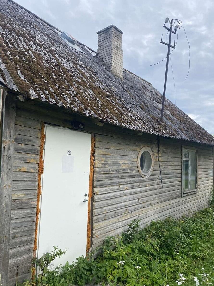 Mesimummu kinnistu enampakkumine - RHN Metsandus